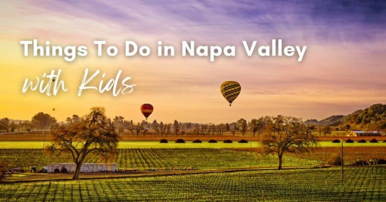 25 Top Things To Do in Napa Valley with Kids - TourTeller Blog