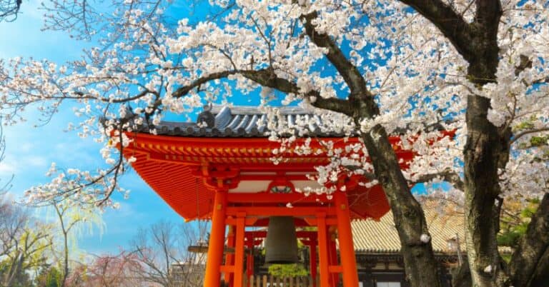 Top Things to Buy in Japan - TourTeller Blog